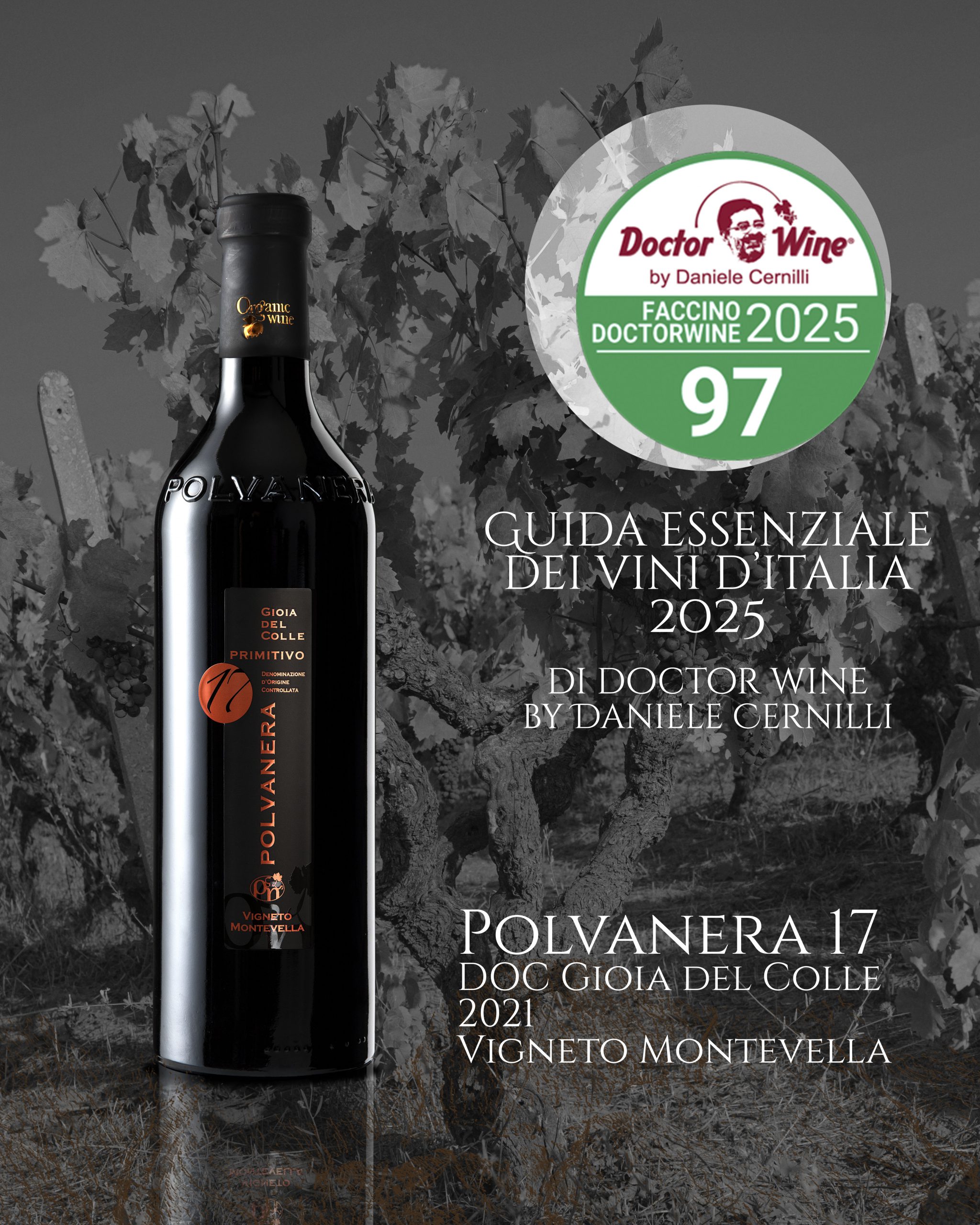 Doctor Wine 2025 | Cantine Polvanera