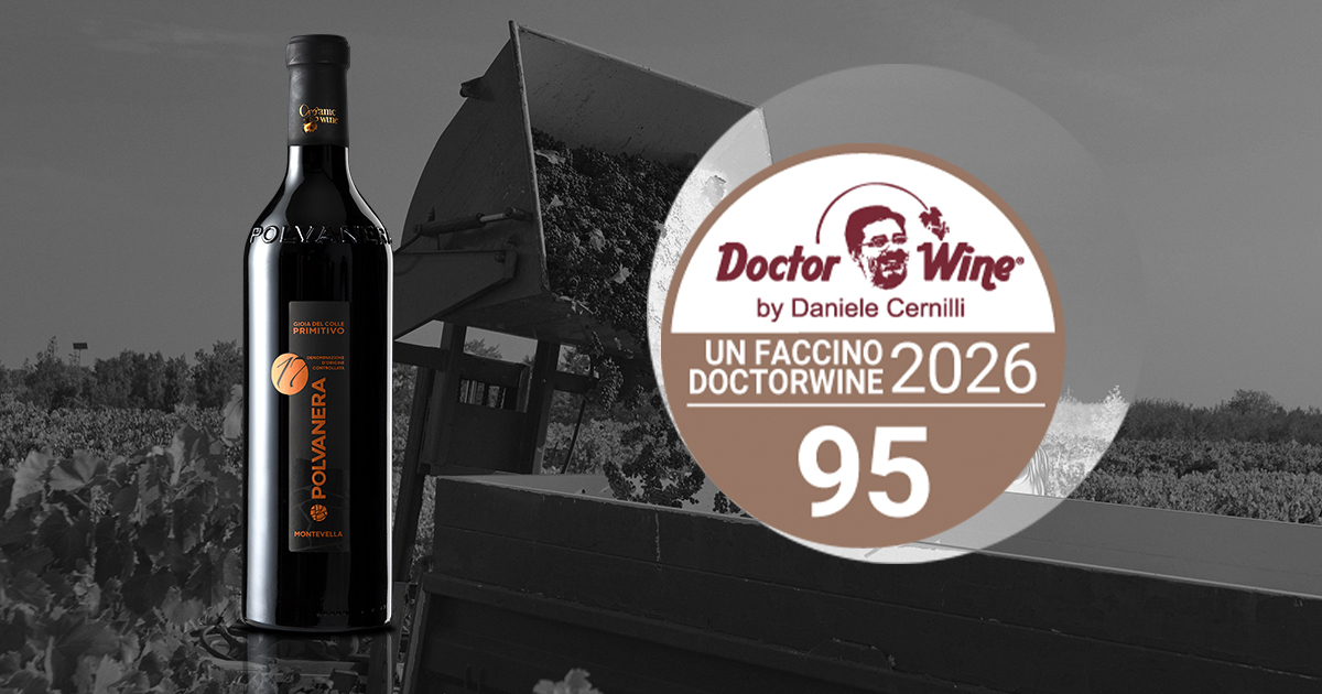 Doctor Wine 2026 | Cantine Polvanera